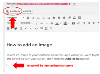 Adding Images – MacEwan Open Textbook Authoring Guide