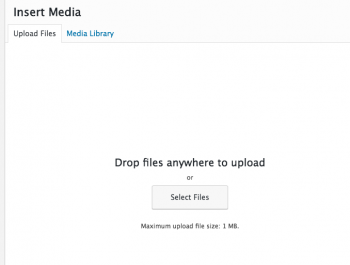 Adding Images – MacEwan Open Textbook Authoring Guide