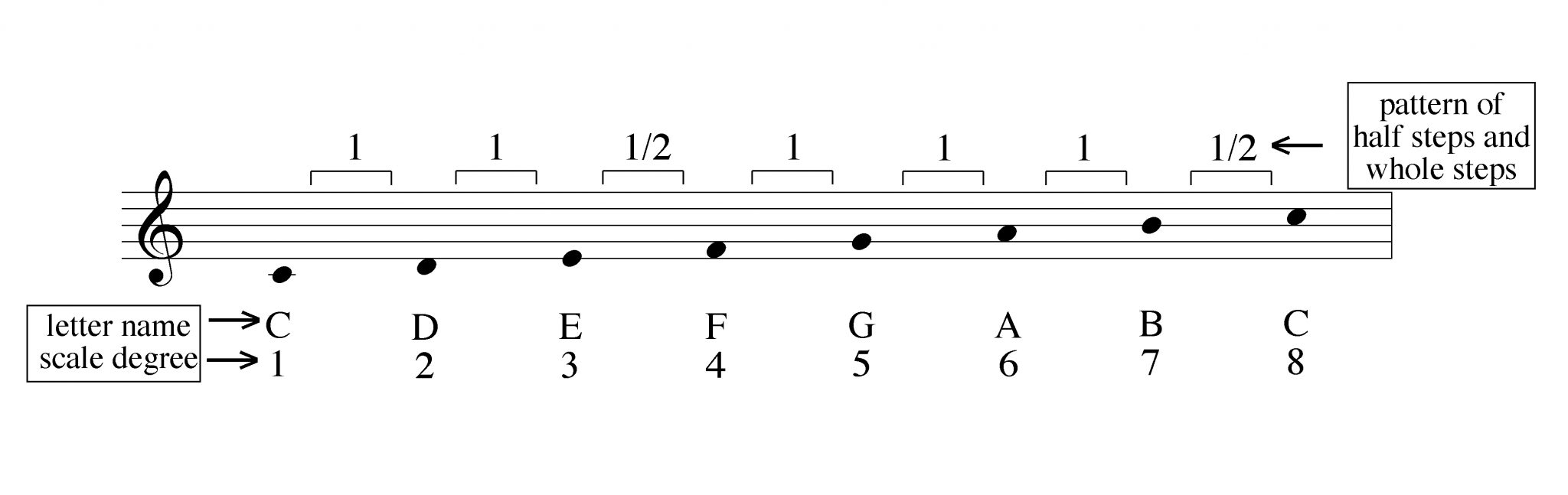 Major Scale – Introduction to Music Theory and Rudiments